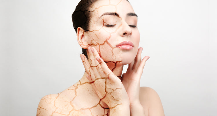 How to treat dry, tight uncomfortable skin — Meaghers Pharmacy