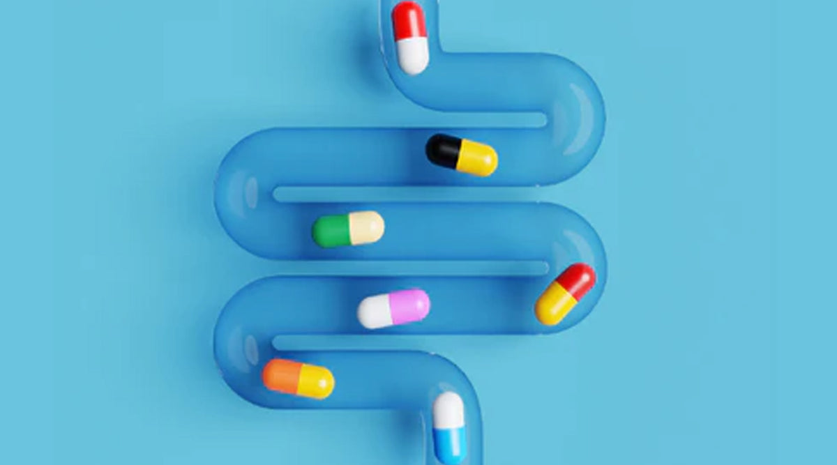 All You Need to Know About Antibiotics and Supporting Gut Health Durin ...