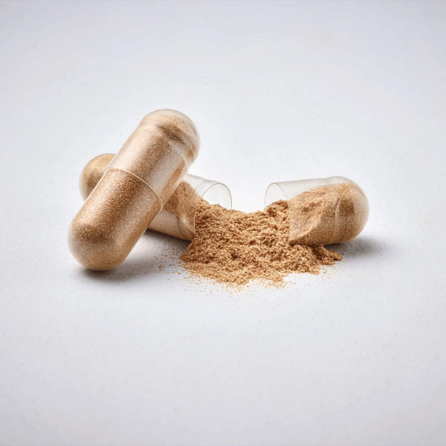 fabÜ - Nootropic Mushroom Supplements - The Power of Plants – Meaghers ...
