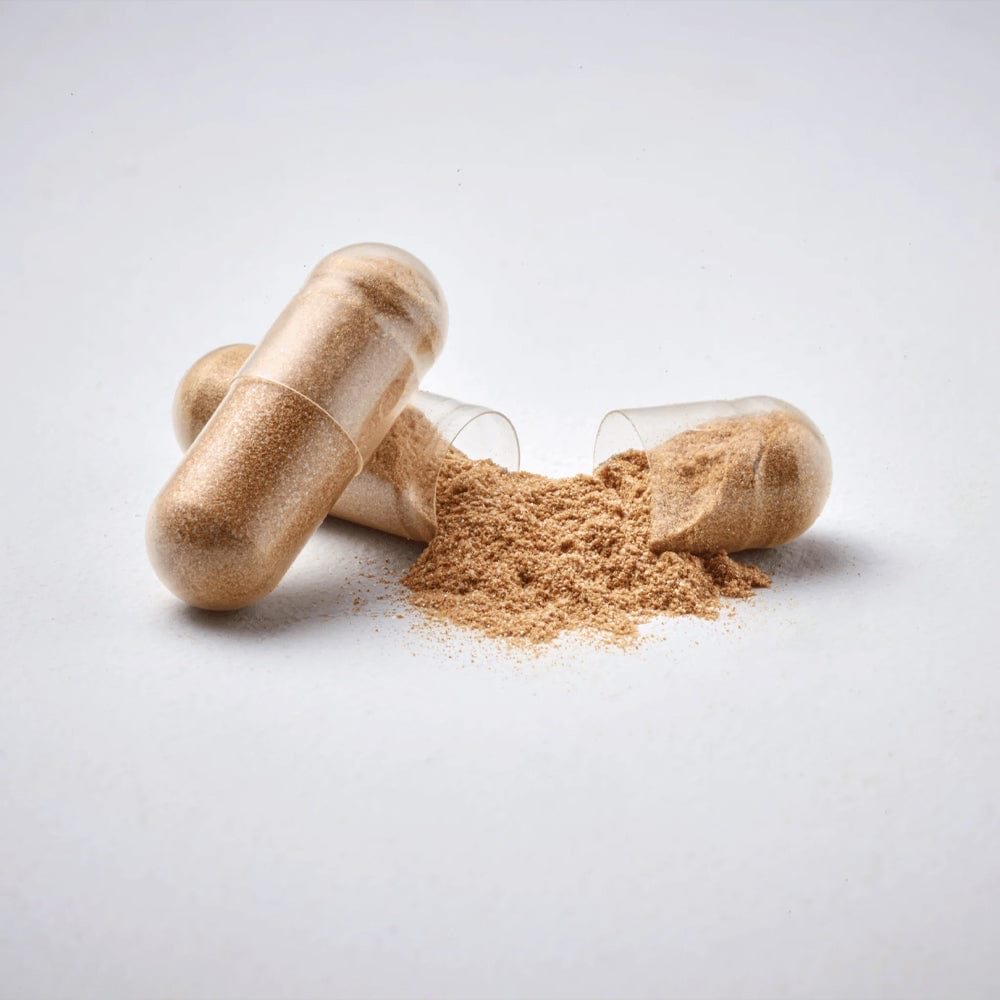 fabÜ - Nootropic Mushroom Supplements - The Power of Plants – Meaghers ...